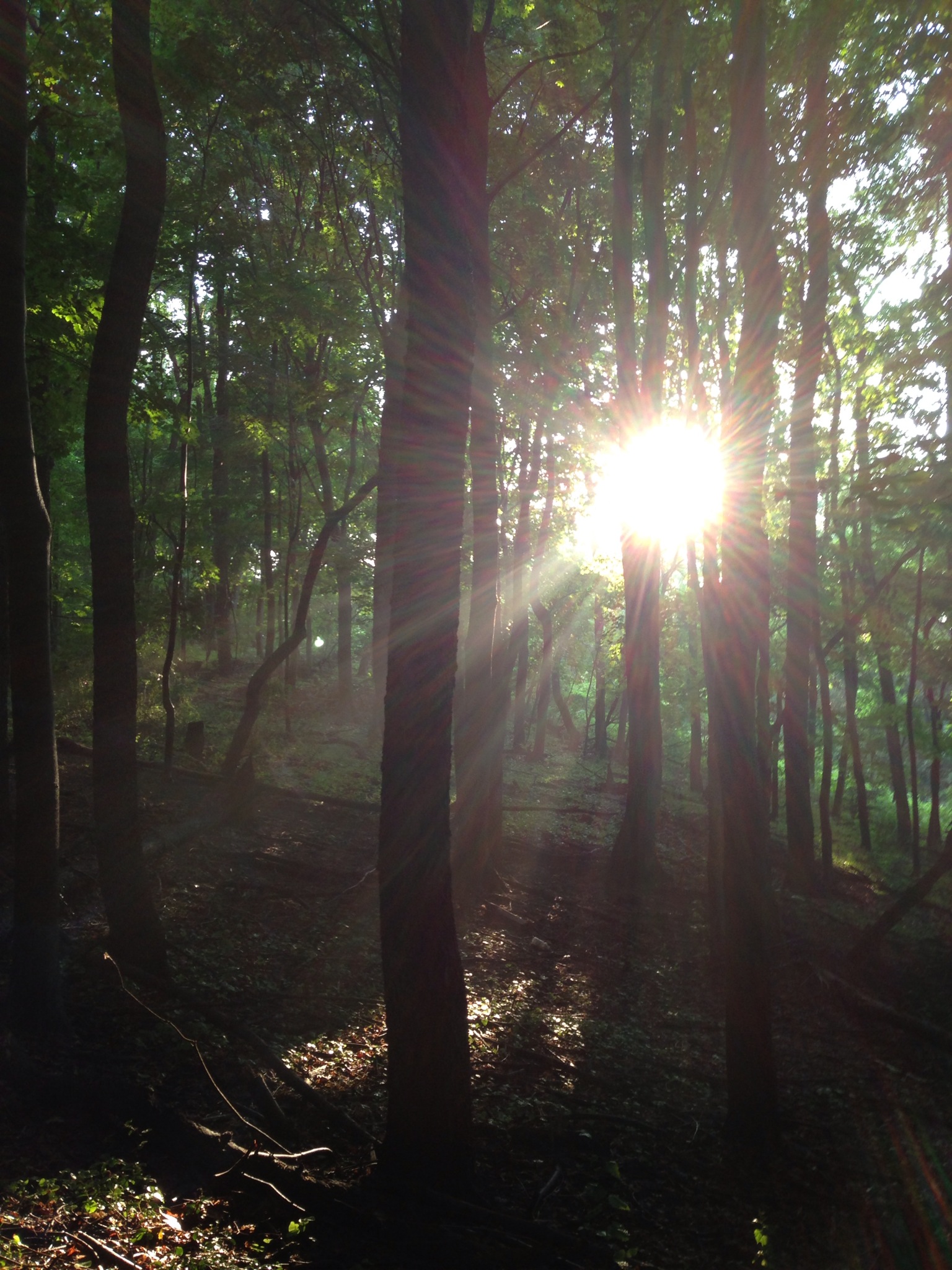A Morning Walk with Jesus | The Porch of the Lord